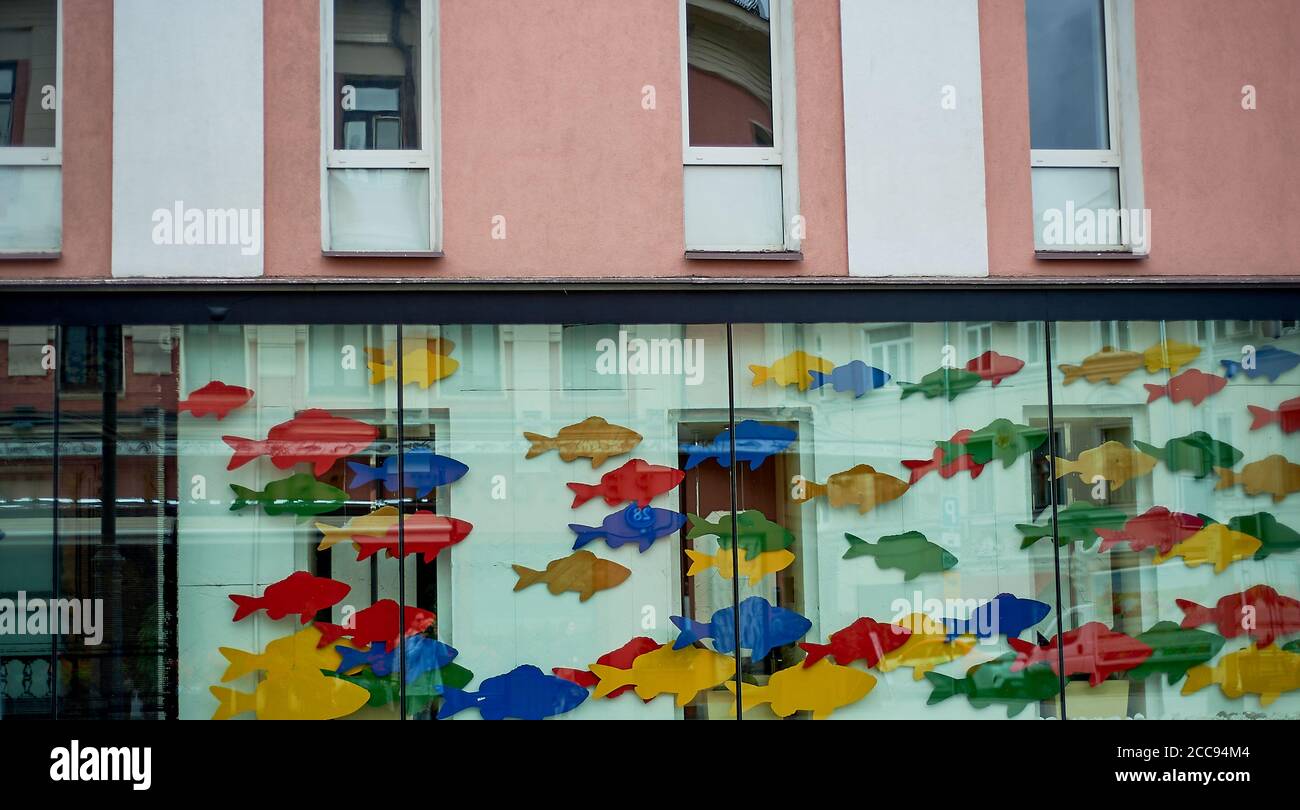 Showcase with colorful fish.Fish shop, glass window decoration Stock ...