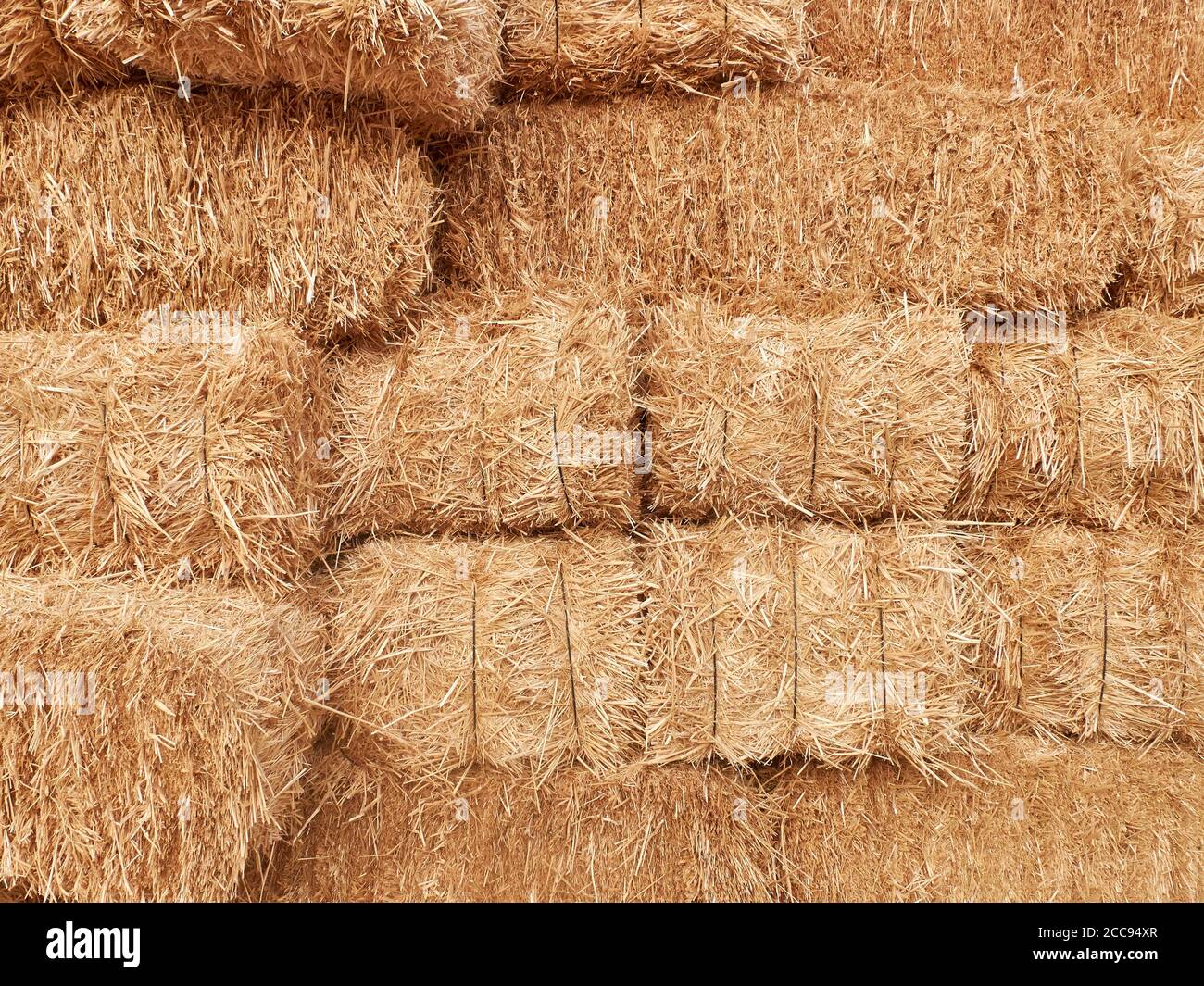 Piled stacks of dry golden hay straw Stock Photo - Alamy