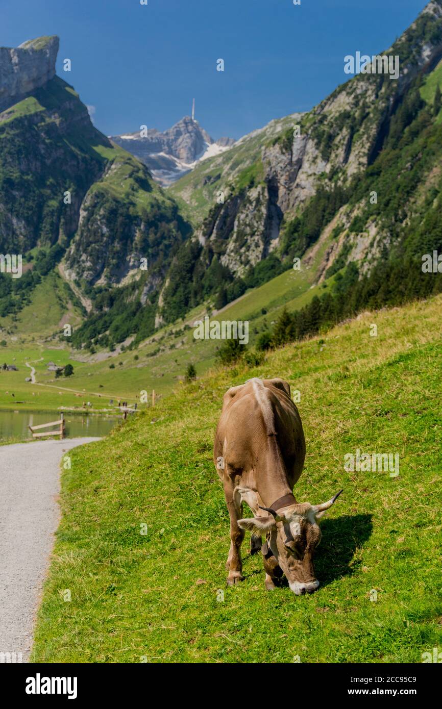 Beautiful exploration tour through the Appenzell mountains in ...