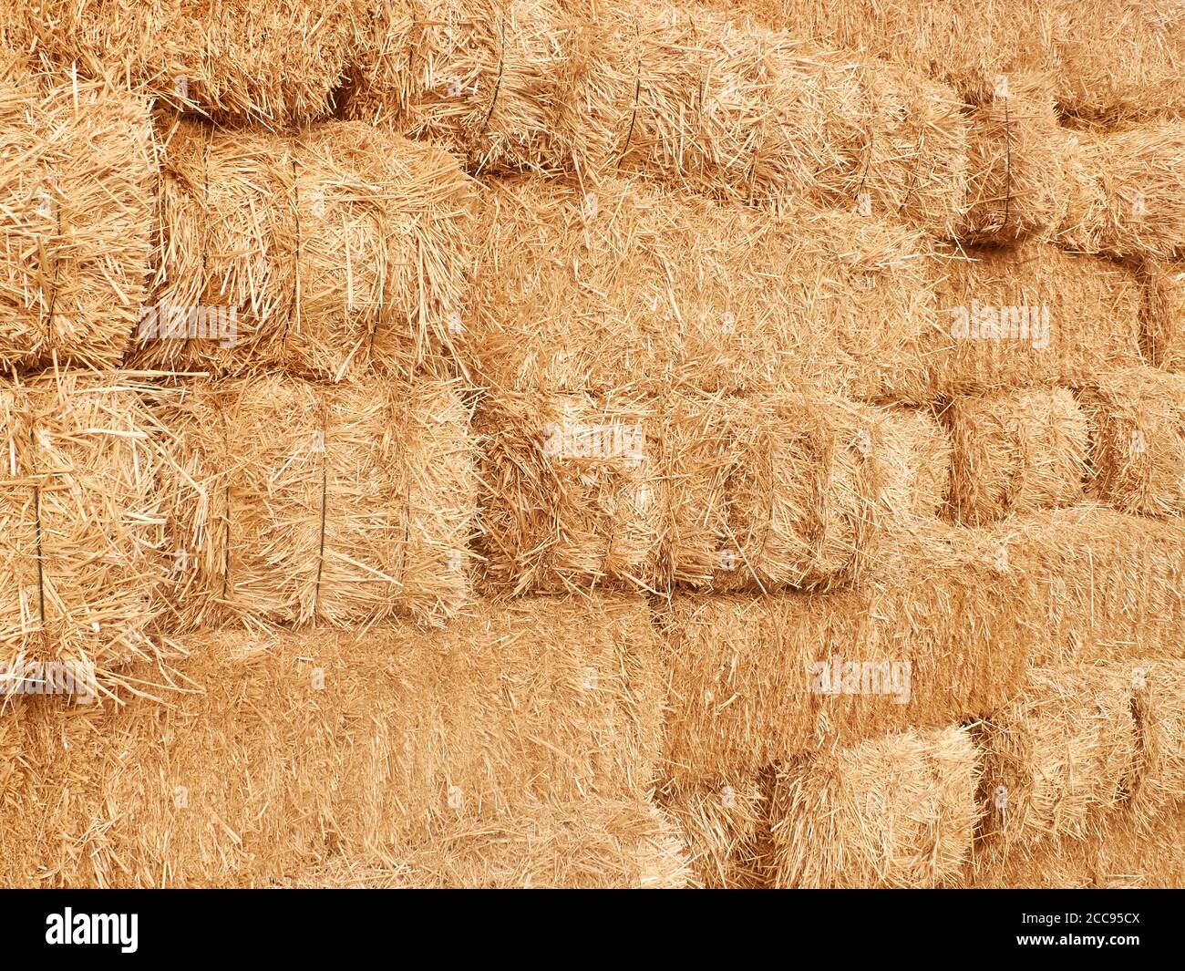 Piled stacks of dry golden hay straw Stock Photo - Alamy