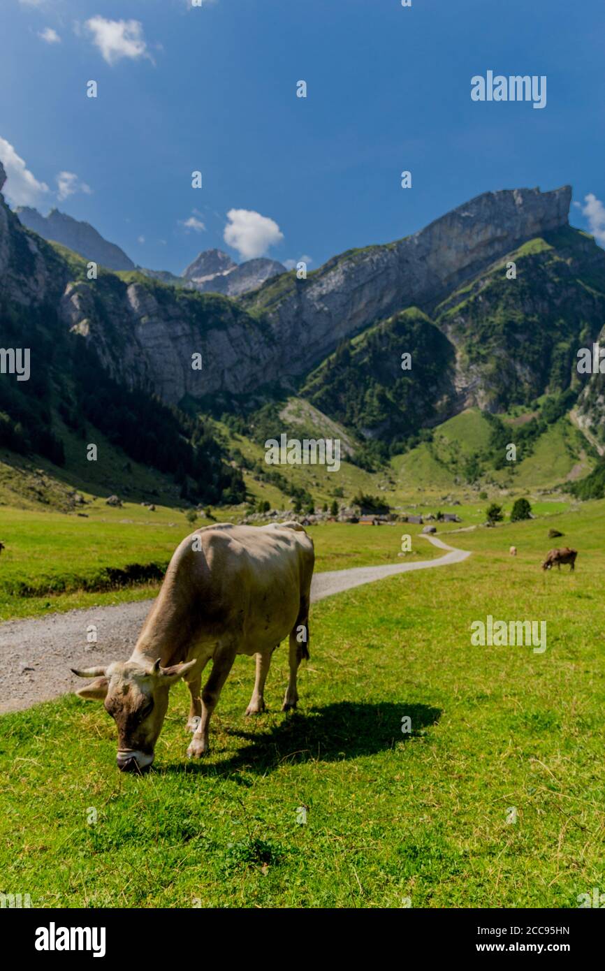 Beautiful exploration tour through the Appenzell mountains in ...