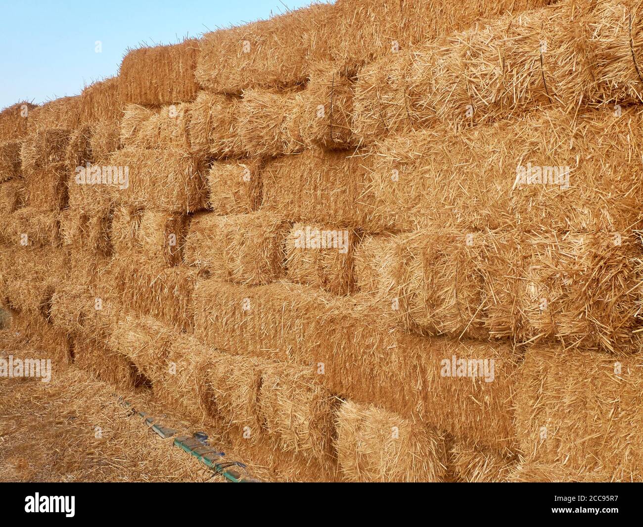 Square stacks golden wheat hi-res stock photography and images - Alamy
