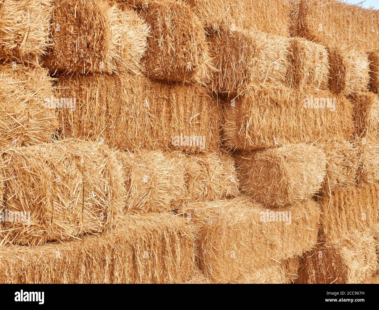 Square stacks golden wheat hi-res stock photography and images - Alamy