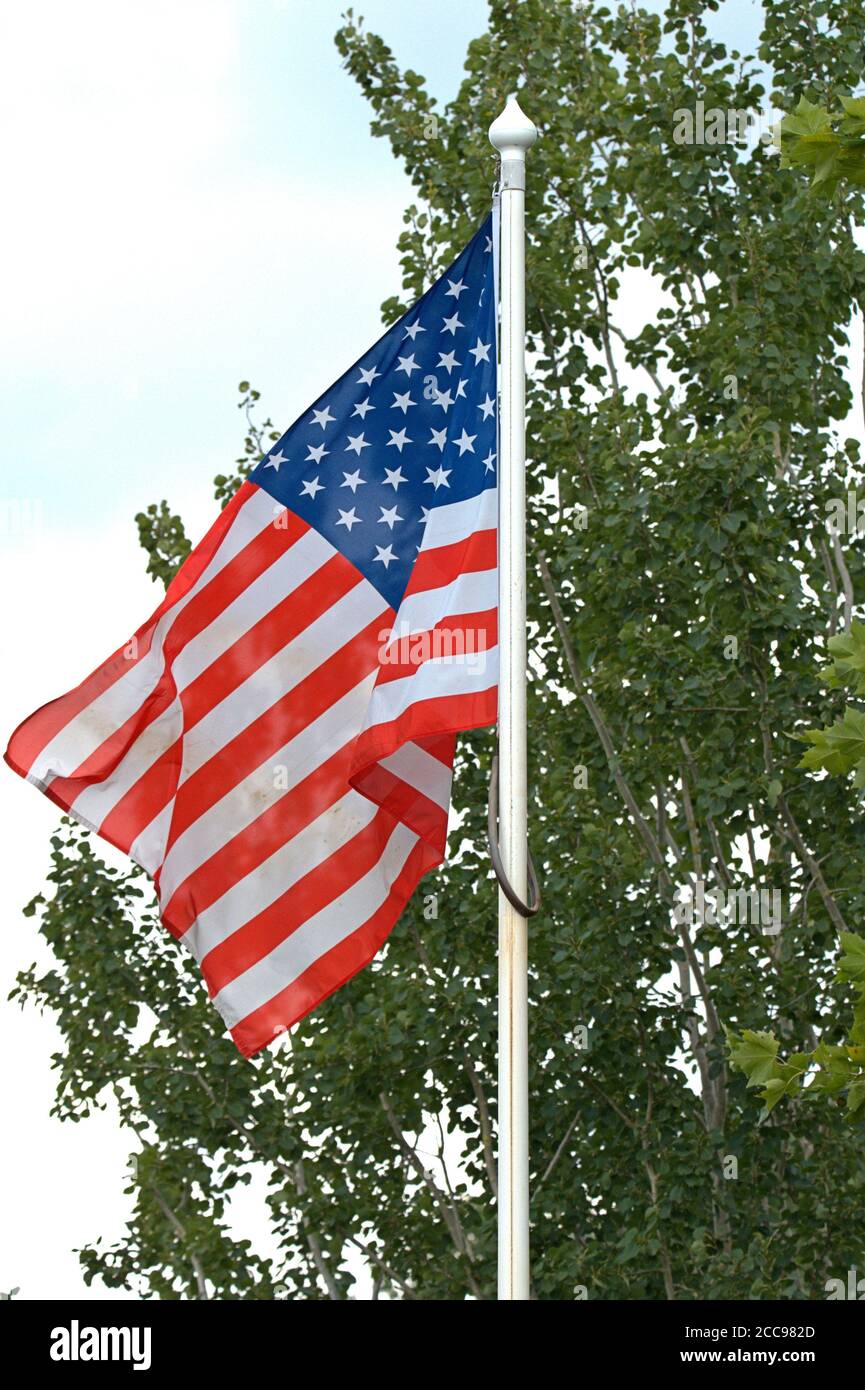 August 19, 2020, Schleswig, Stars and Stripes, a flag of the United ...