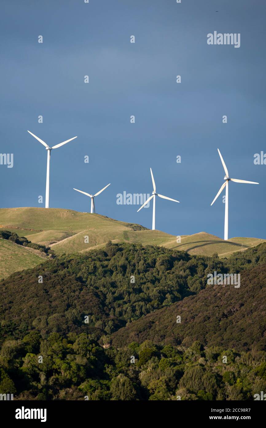 Wind Turbines on hillside, Ashurst, Manawatu, North Island, New Zealand ...