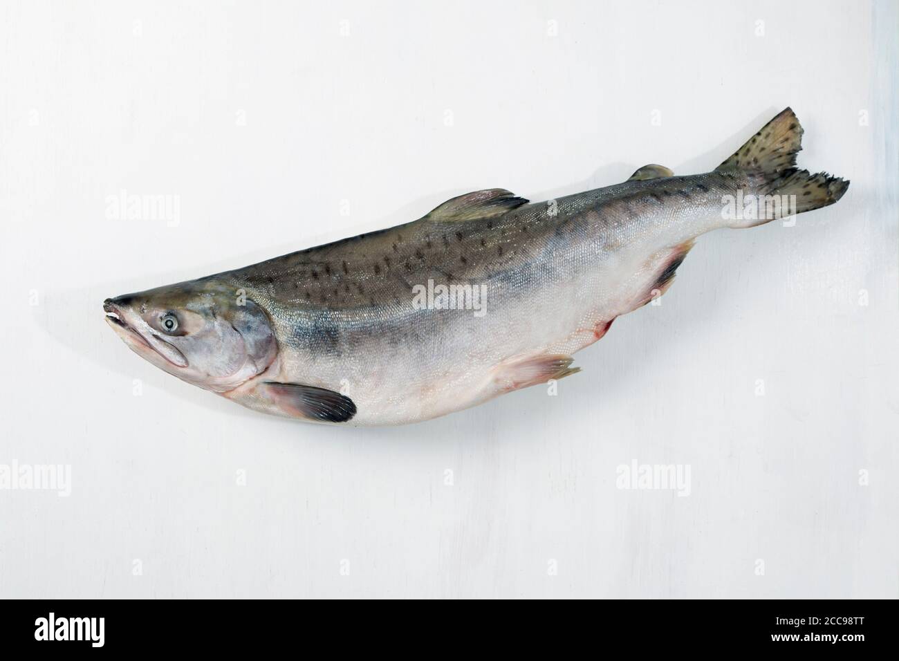 Whole pink salmon fish on white wood background with shadow Stock Photo ...