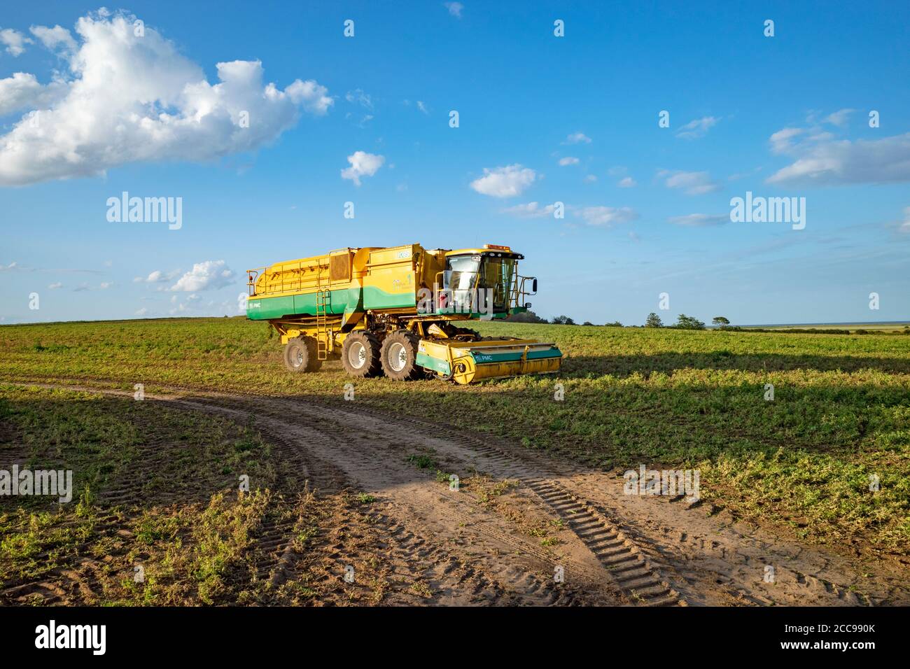 Self propelled pea harvesters hi-res stock photography and images - Alamy