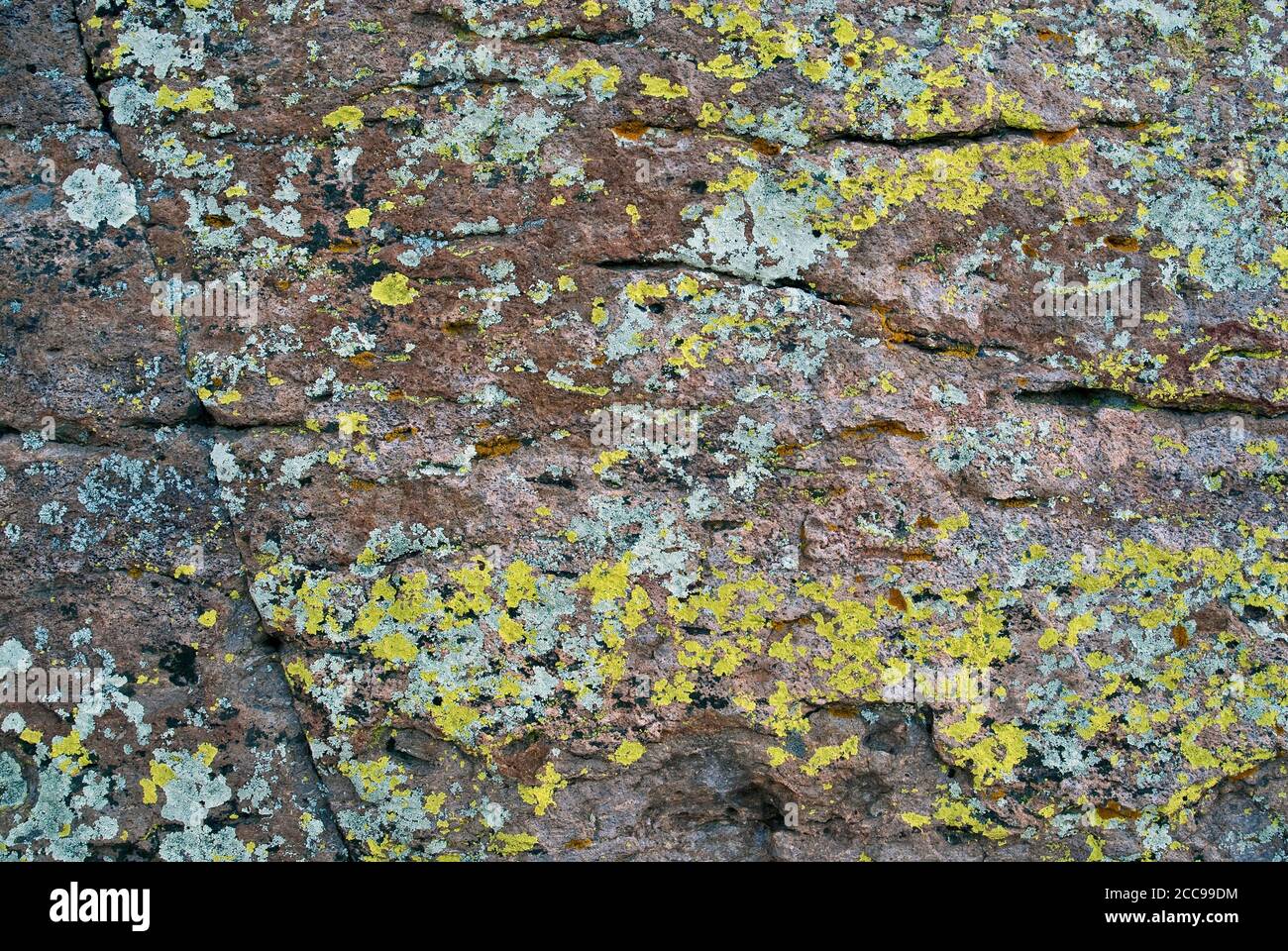 Formation of lichen hi-res stock photography and images - Alamy