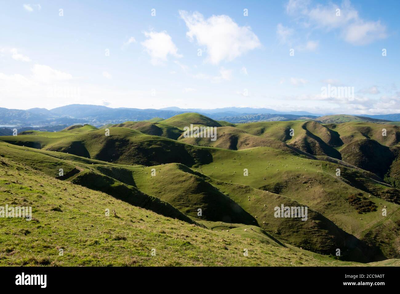 Rolling hills and farmland, Belmont Regional Park, Wellington, North ...