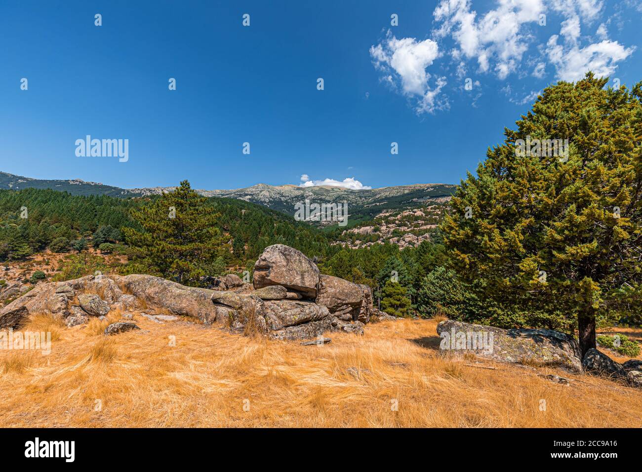 Manzanares river in la pedriza hi-res stock photography and images - Alamy