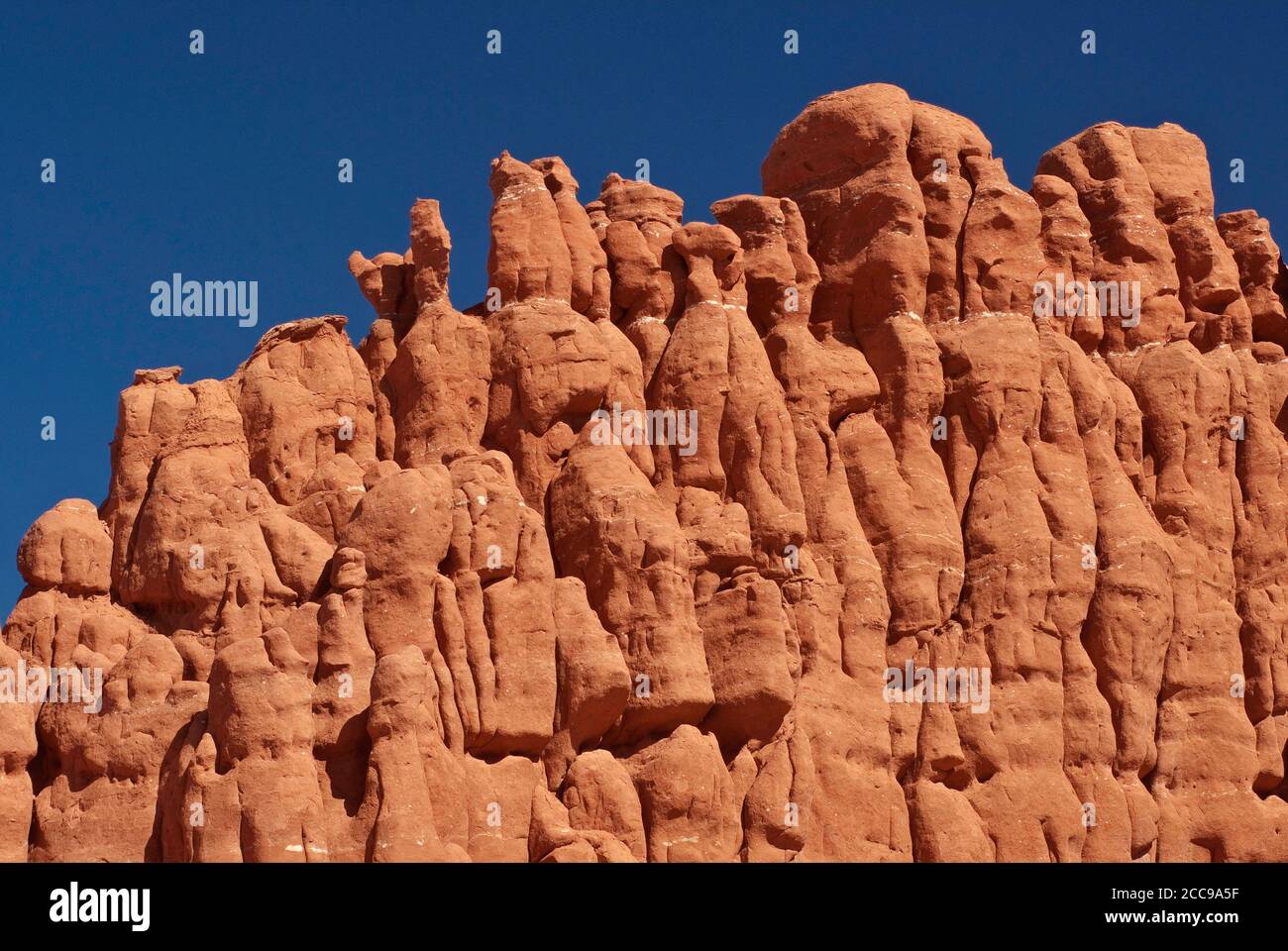 Red sandstone hoodoos at Baby Rocks Mesa near Kayenta, Colorado Plateau ...