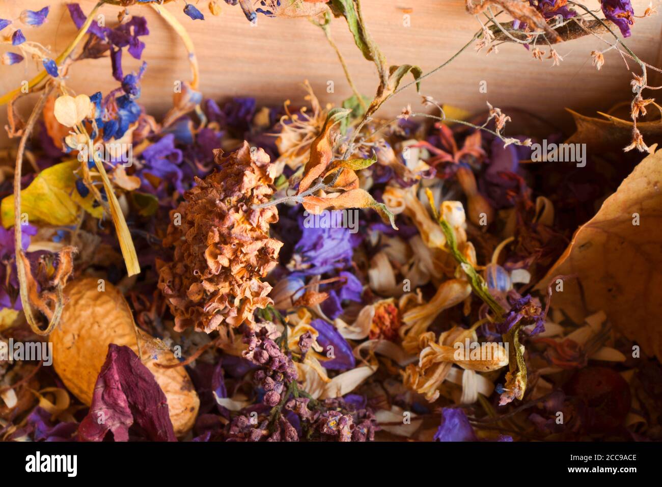 Dry flowers, plants and fruit macro and still life, colorful nature ...