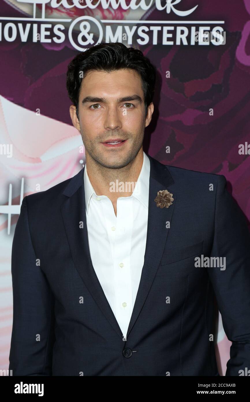 LOS ANGELES - JAN 13: Peter Porte at the Hallmark Channel and Hallmark ...