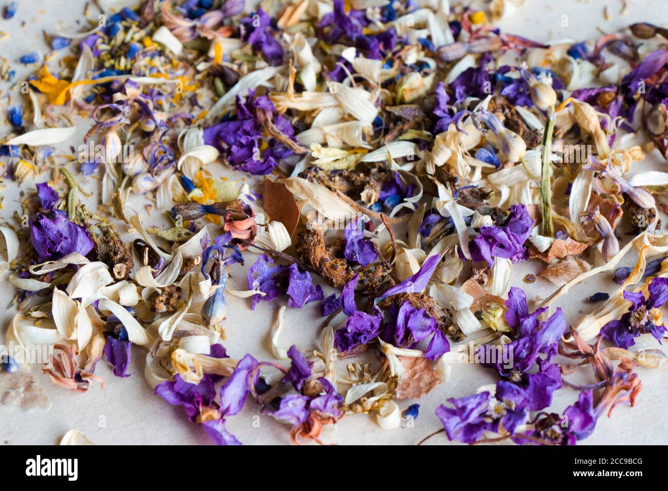 Dry flowers, plants and fruit macro and still life, colorful nature ...