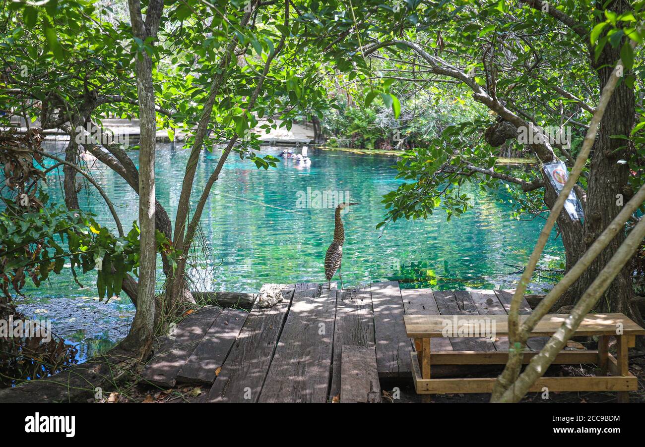 TULUM, QUINTANA ROO, MEXICO - Jul 28, 2019: The colorful waters of ...