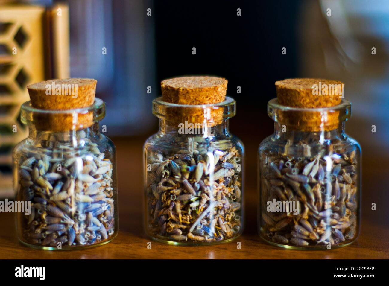 Dry flowers, plants macro and still life, colorful nature background ...