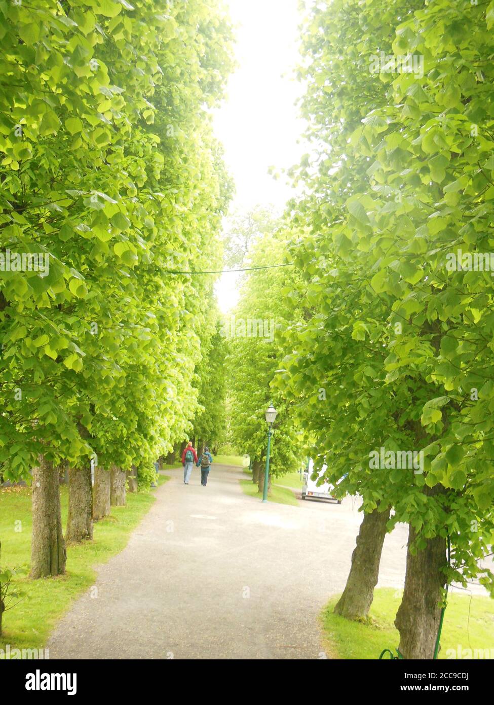 a wide straight walking path in an outdoor park in norway began Stock ...