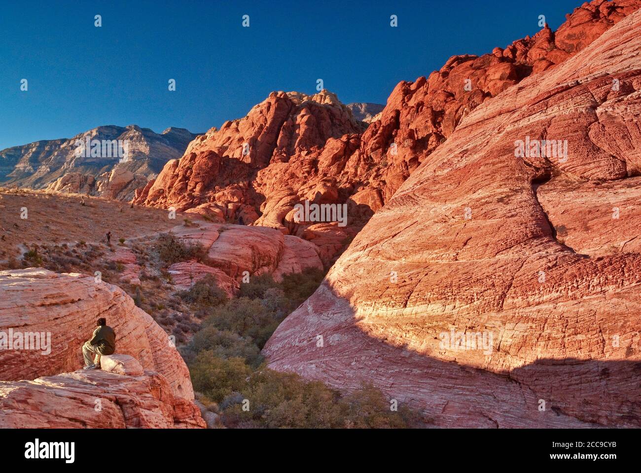 Tourists at Aztec Sandstone outcrop in Calico Hills, sunset, Red Rock ...