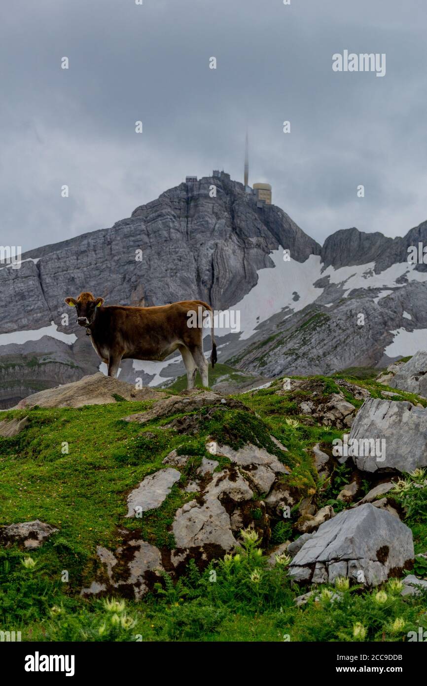 Beautiful exploration tour through the Appenzell mountains in ...