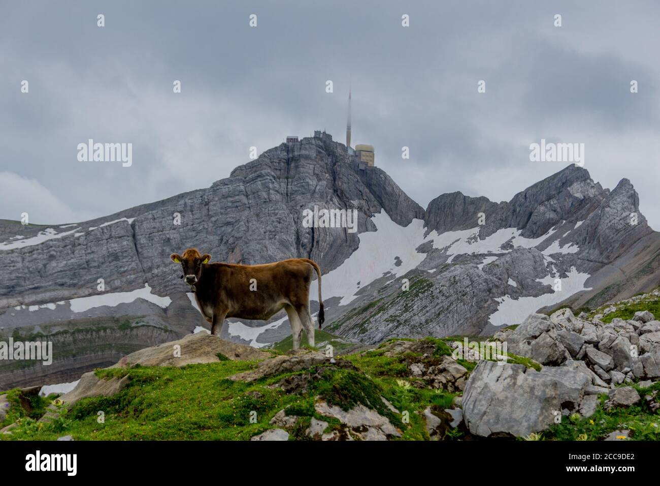 Beautiful exploration tour through the Appenzell mountains in ...