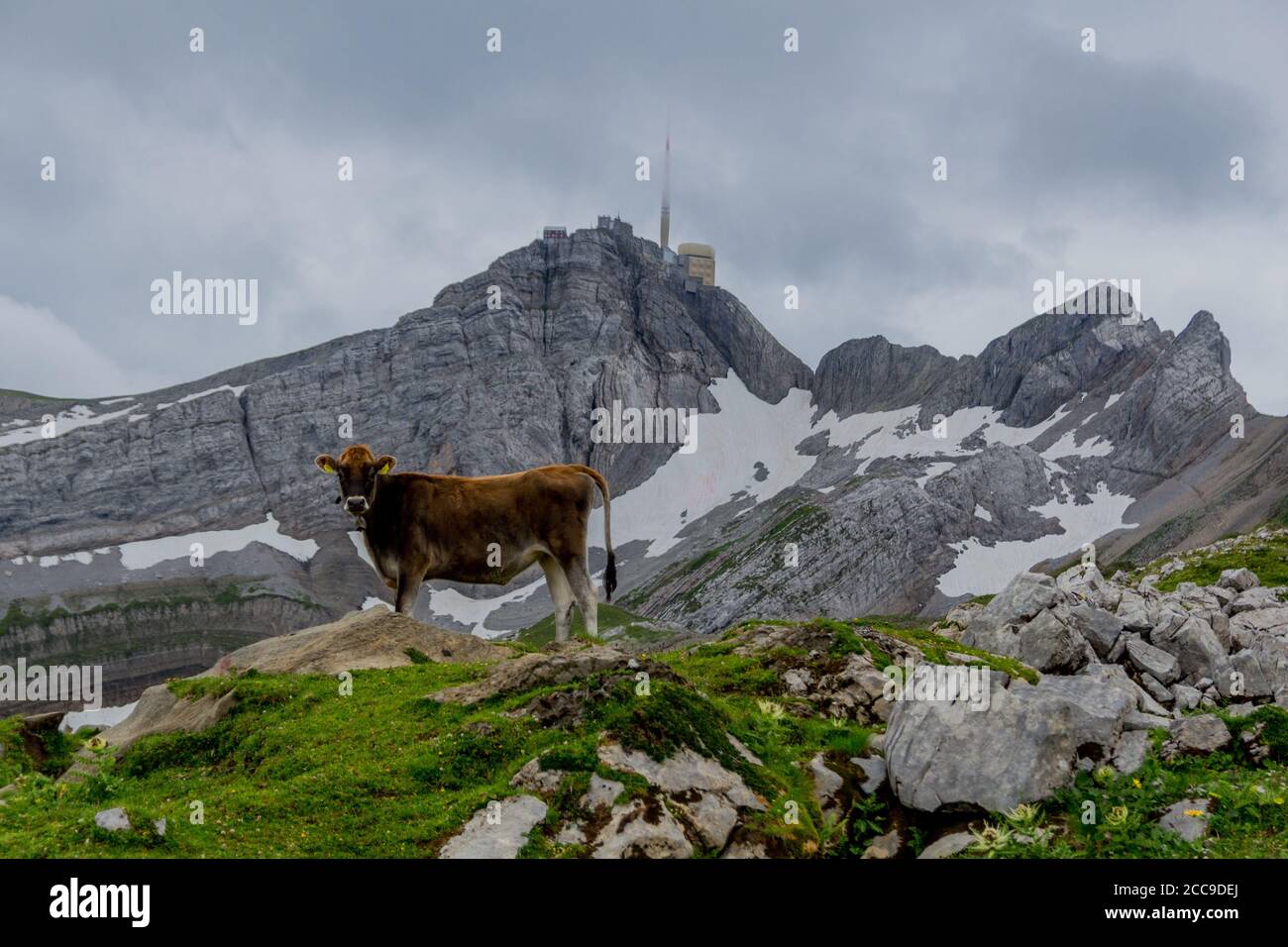 Beautiful exploration tour through the Appenzell mountains in ...