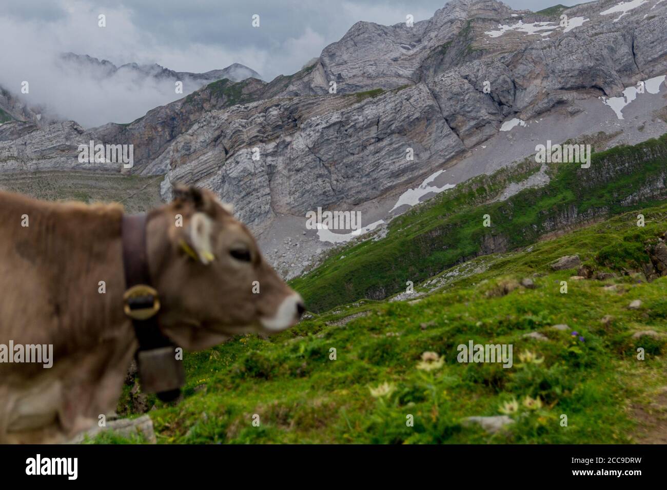 Beautiful exploration tour through the Appenzell mountains in ...