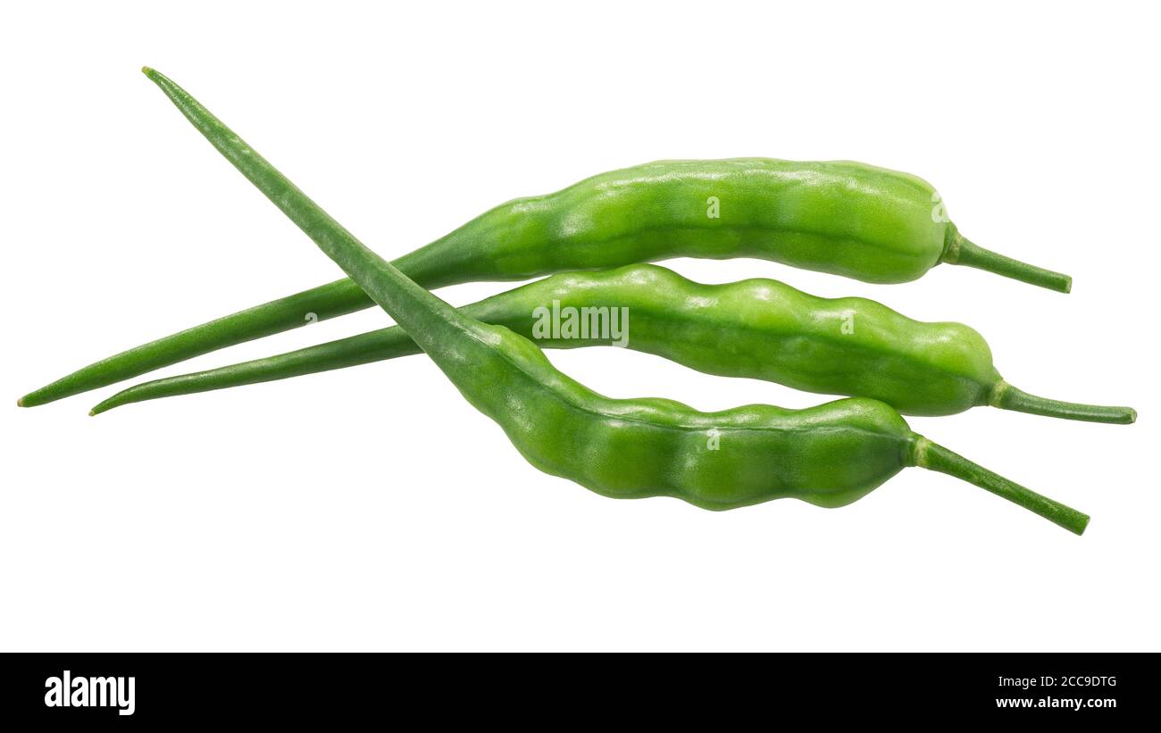 Radish pods hi-res stock photography and images - Alamy