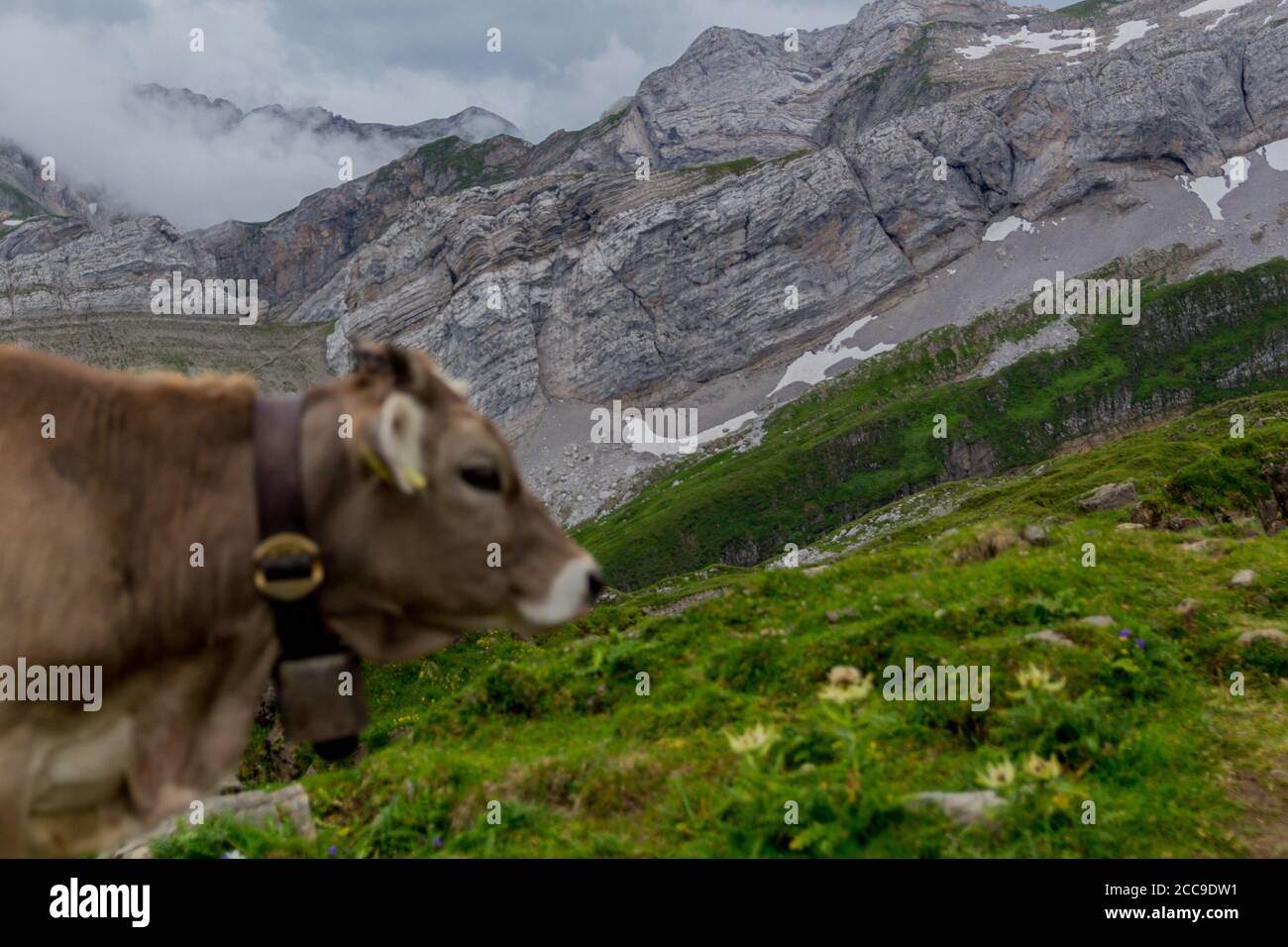 Beautiful exploration tour through the Appenzell mountains in ...