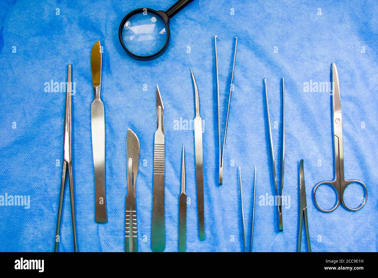 Dissection Kit - Premium Quality Stainless Steel Tools for Medical ...