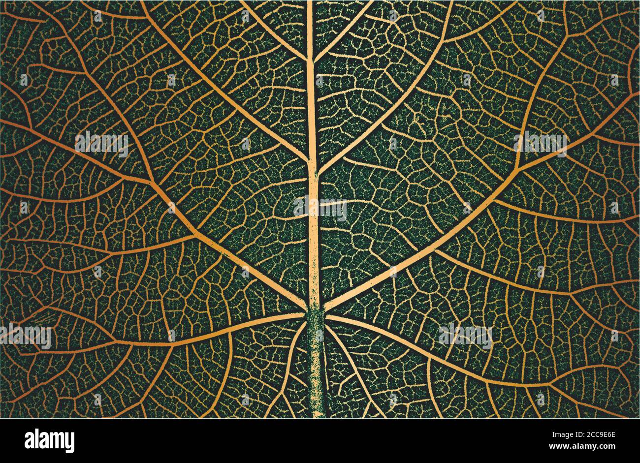 Distress tree leaves, leaflet texture on golden green background. Black ...