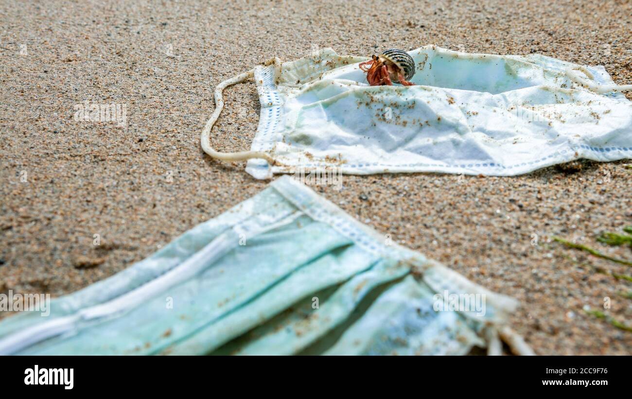 Shell Crab Waste High Resolution Stock Photography and Images - Alamy