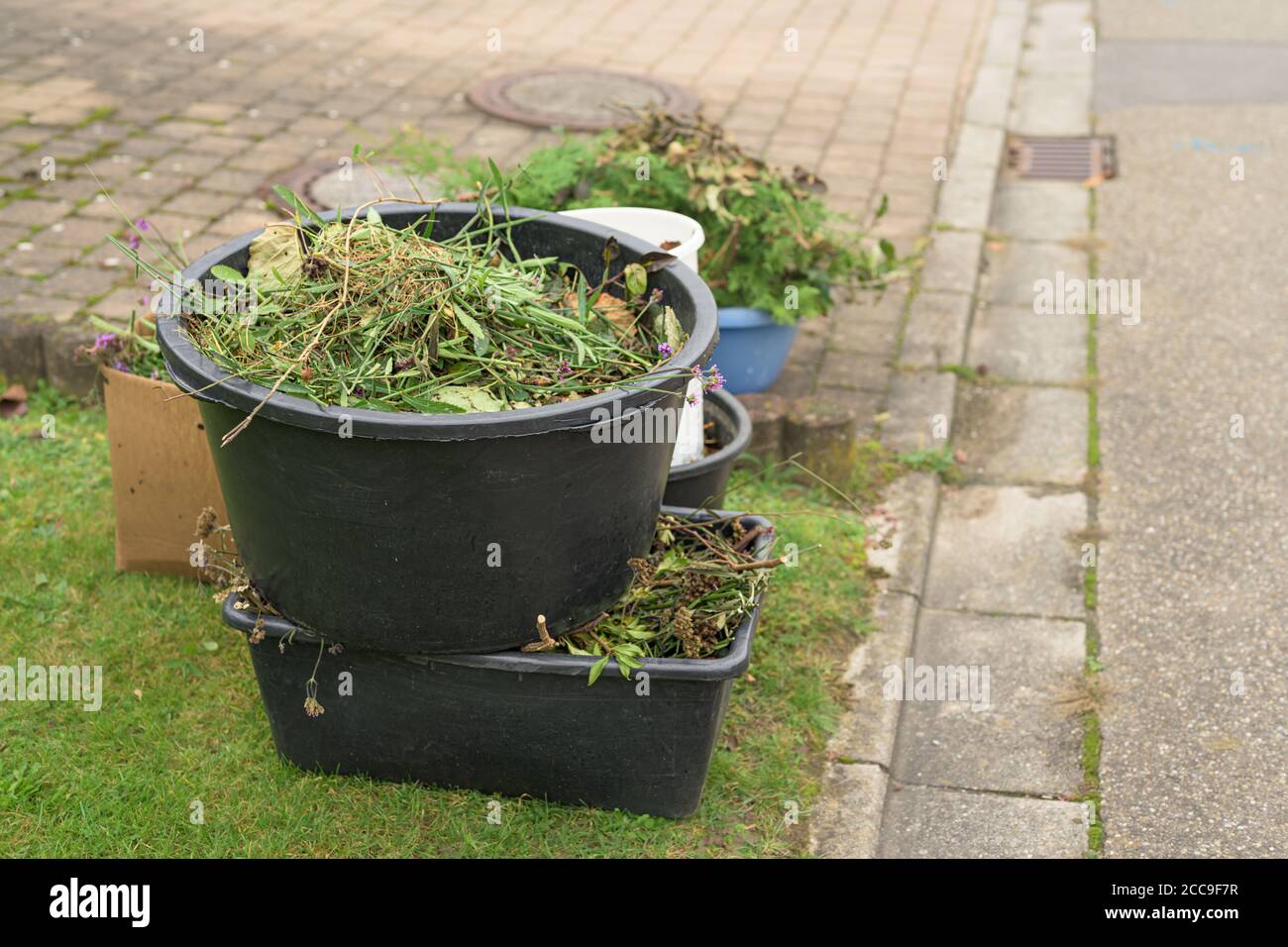 Garden waste from cutting shrubs and plants. Standing by the road and ...