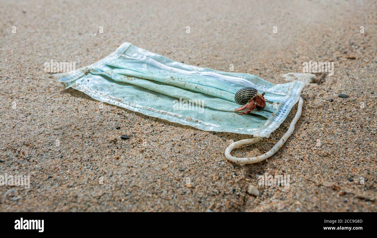A hermit crab over medical waste, masks garbage trash on sea water ...
