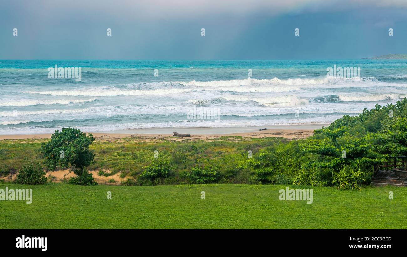 Ocean wave rolling towards sandy beach with green trees of Taiwan ...