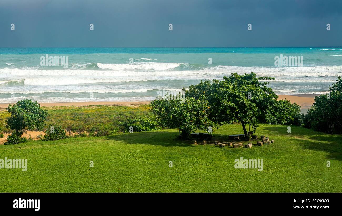 Ocean wave rolling towards sandy beach with green trees of Taiwan ...