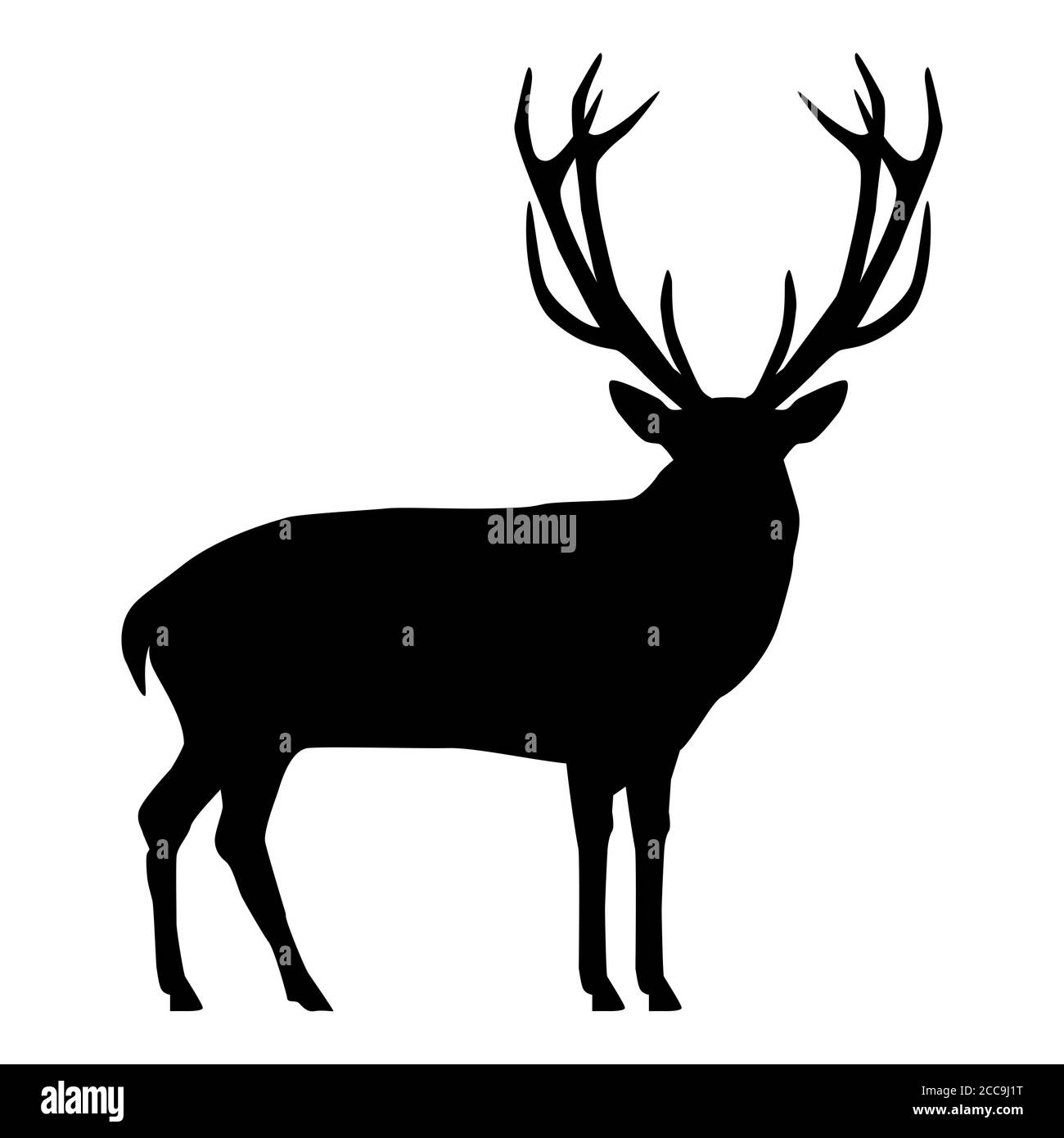 Christmas card background border Black and White Stock Photos & Images ...