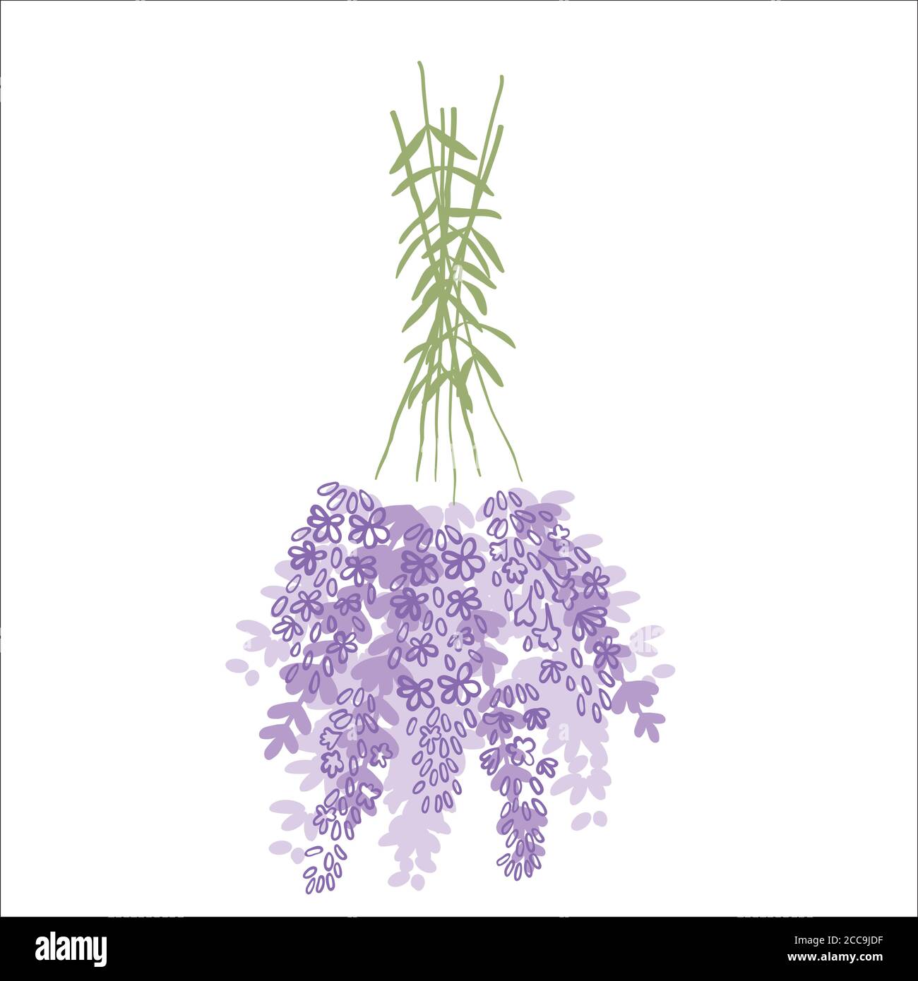 Single Lavender Flower Vector