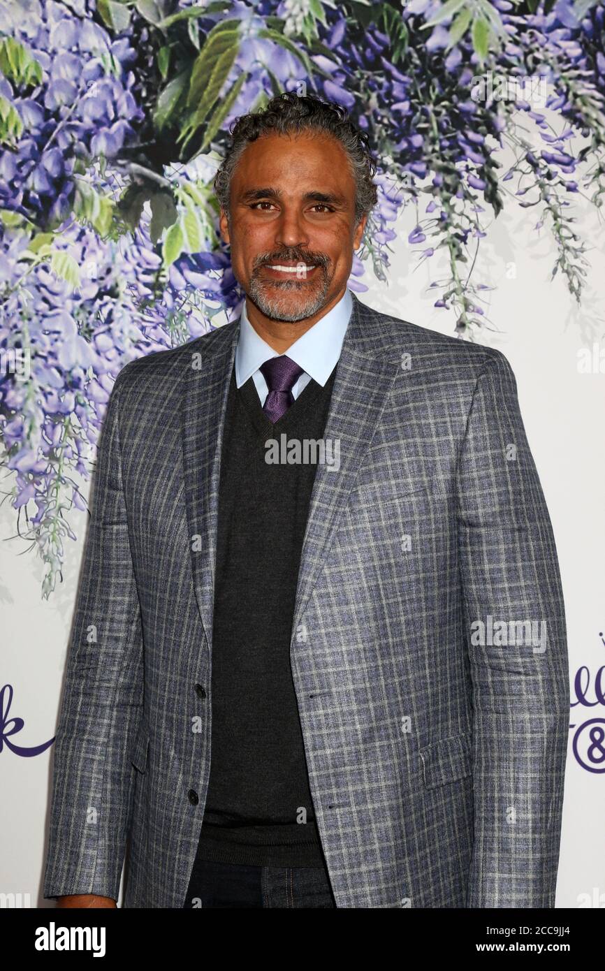 LOS ANGELES - JUL 26: Rick Fox at the Hallmark TCA Summer 2018 Party on ...
