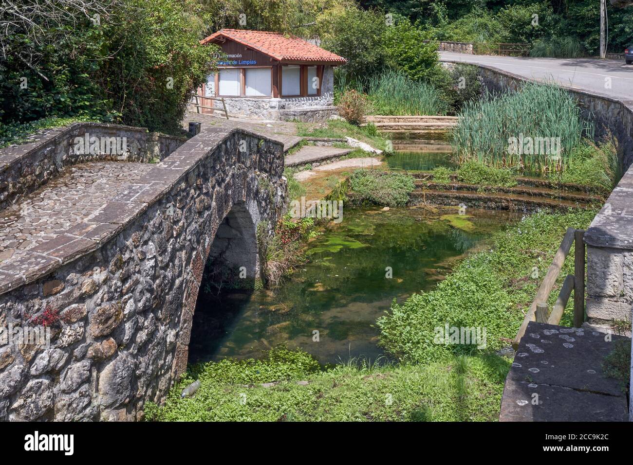 Small stone arch bridge over a pond on a cloudy day with plants, trees ...