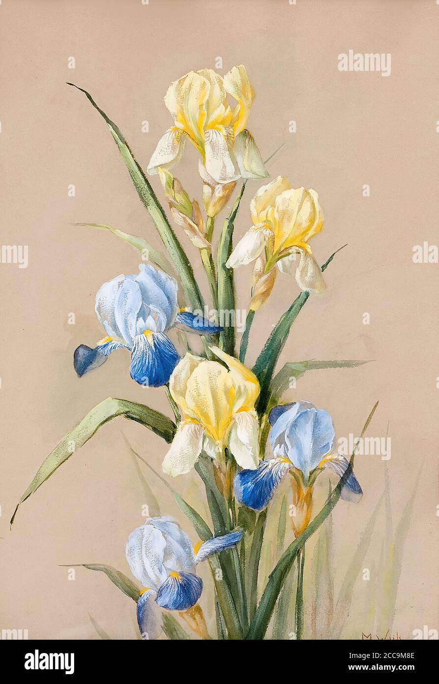 Maria wiik hi-res stock photography and images - Alamy