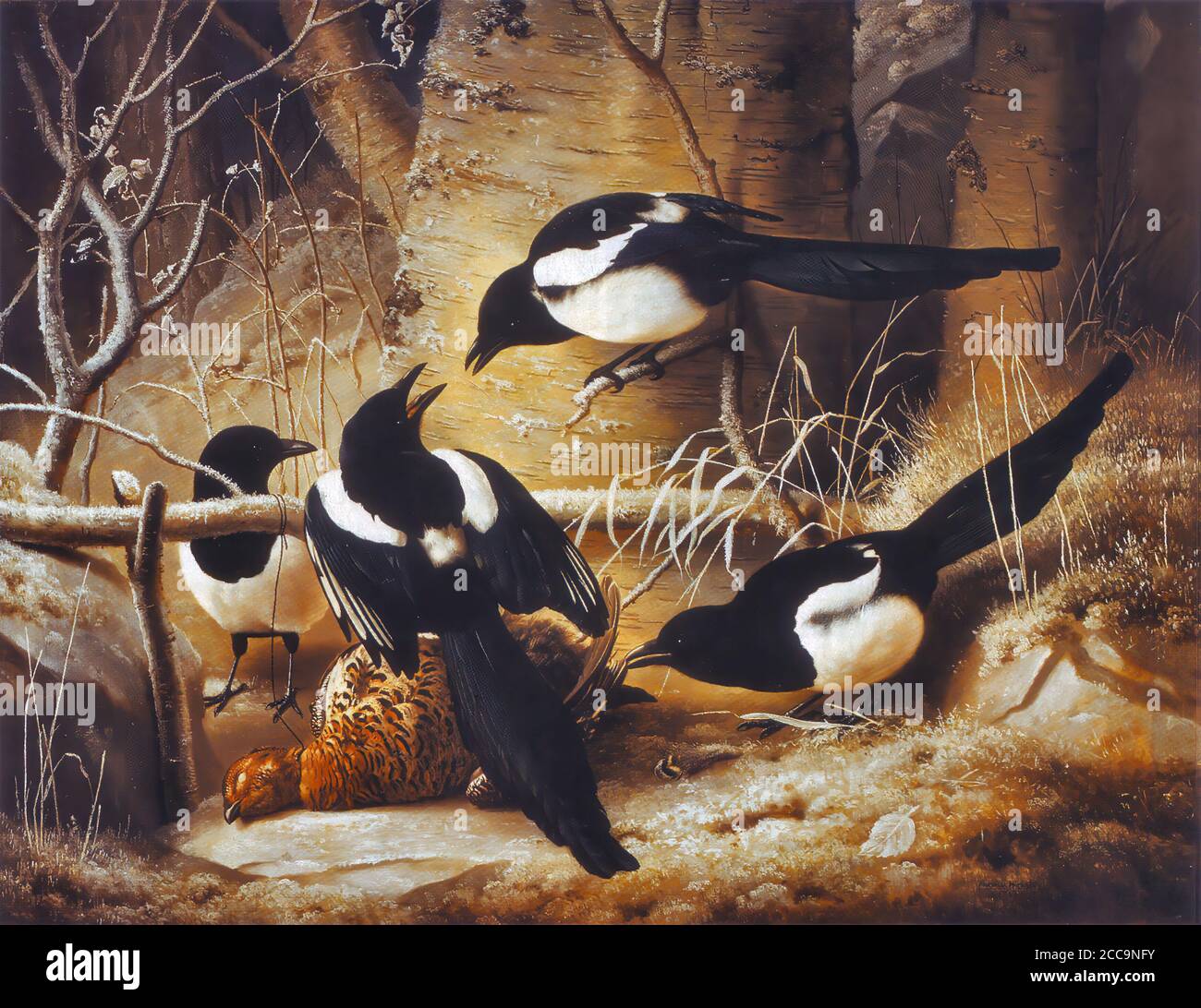 Wright Ferdinand Von - Magpies with a Dead Hen - Finnish School - 19th ...