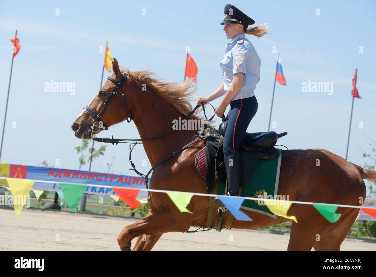 Trick horse hi-res stock photography and images - Alamy