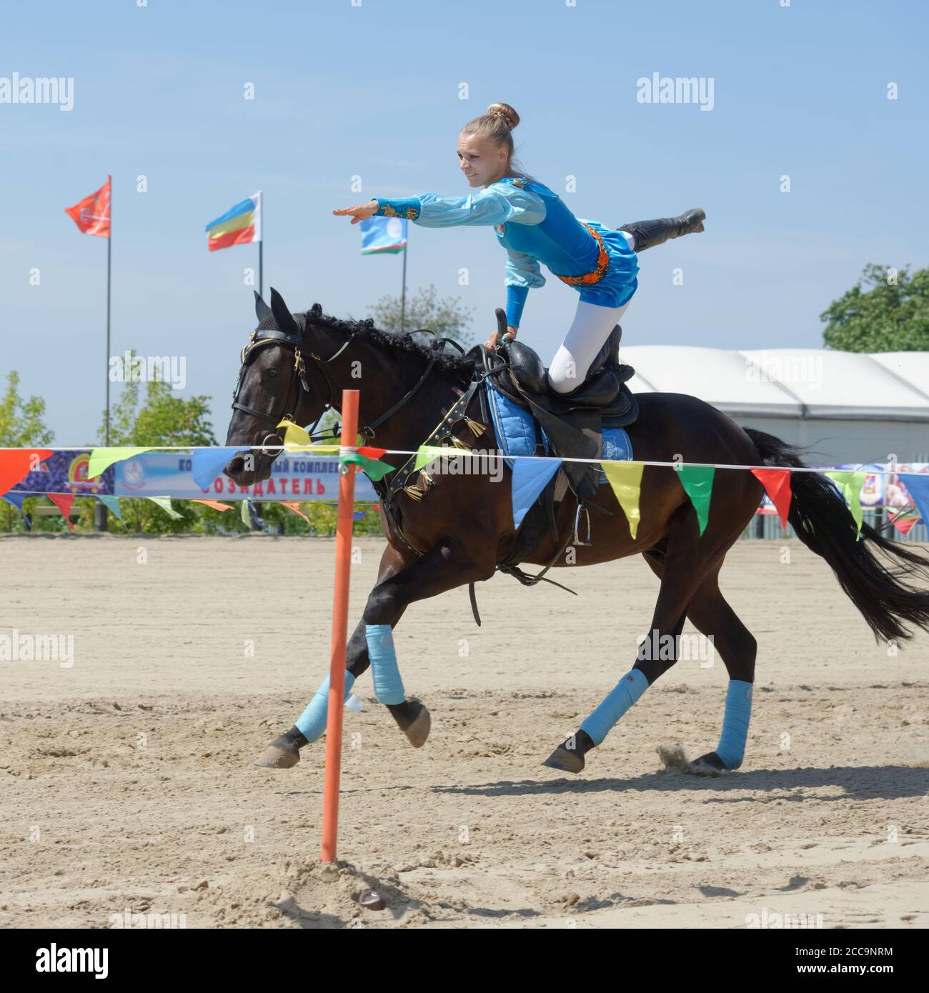 Trick horse hi-res stock photography and images - Alamy