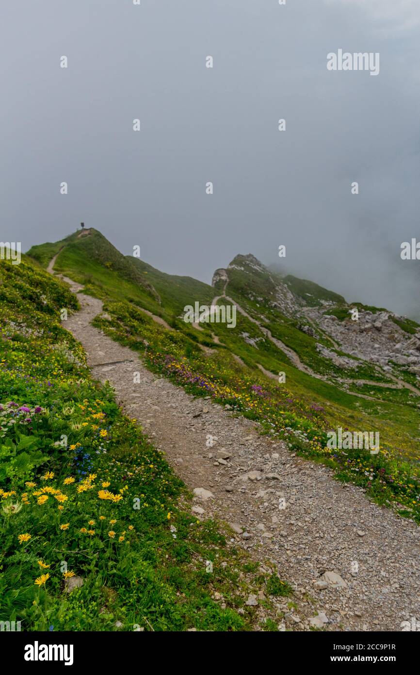 Beautiful exploration tour through the Appenzell mountains in ...