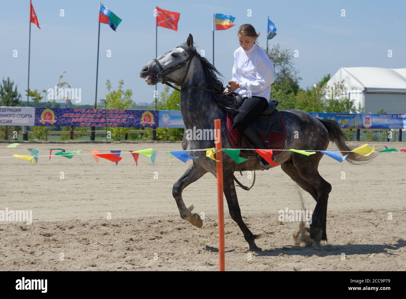 Maria sidorova hi-res stock photography and images - Alamy