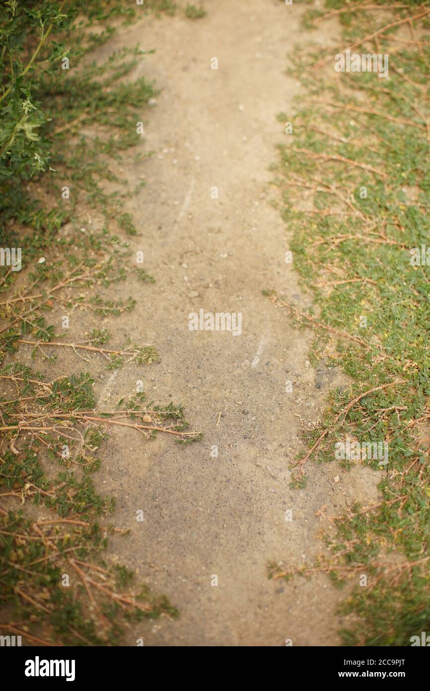 Ground path with grass around. Top view Stock Photo - Alamy