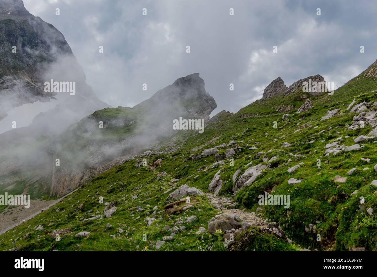 Beautiful exploration tour through the Appenzell mountains in ...