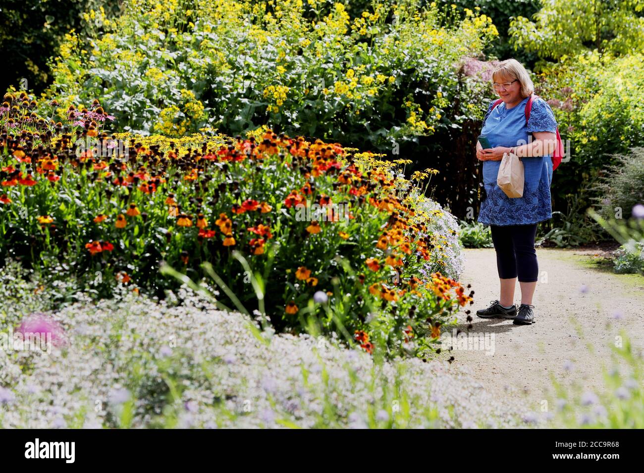 A visitor admires a bed of asterids in the Agius Evolution garden ...