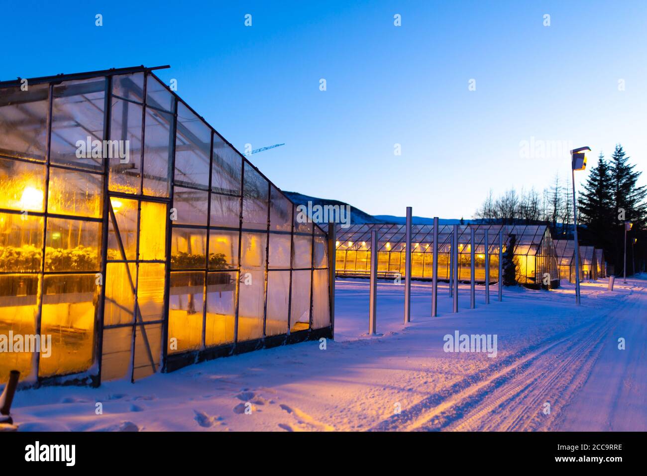 Industrial greenhouses for growing plants in winter Stock Photo - Alamy