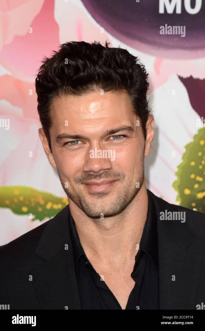 LOS ANGELES - JAN 13: Ryan Paevey at the Hallmark Channel and Hallmark ...